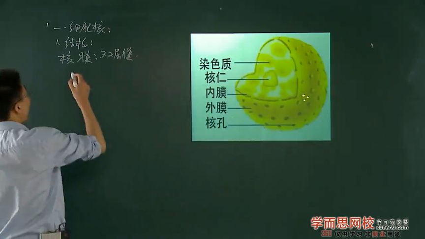 高一生物必修一,细胞器的结构与功能,细胞类型知识点,高中生物