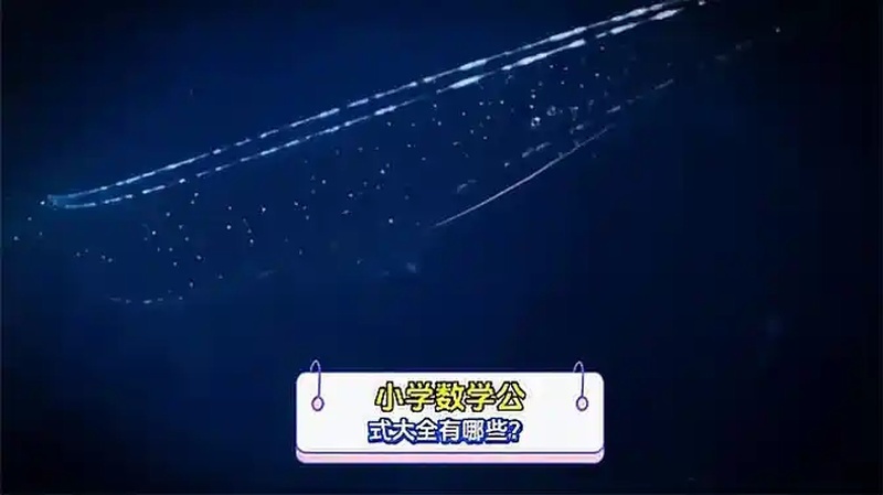 小学数学公式大全有哪些?