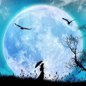 她zai灯火阑珊处 