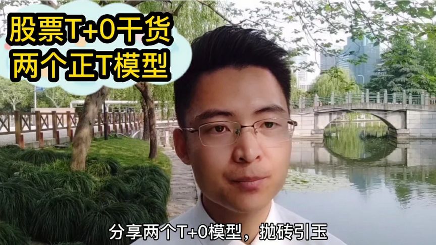 想学习股票T+0交易?分享两个经典做T模型,干货收藏!