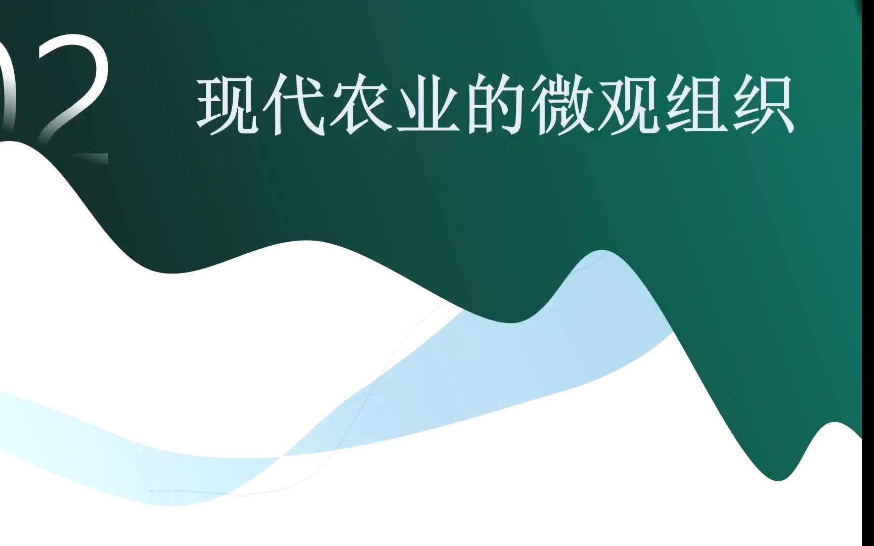 现代农业经济学