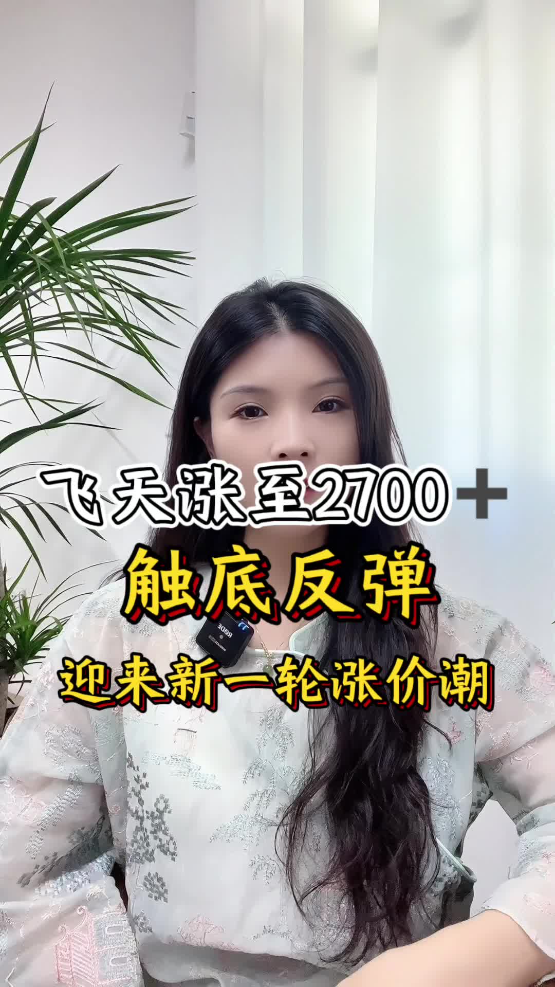 飞天触底反弹 新一轮的涨价潮已来,茅粉们多多关注#茅台行情 #以酒...