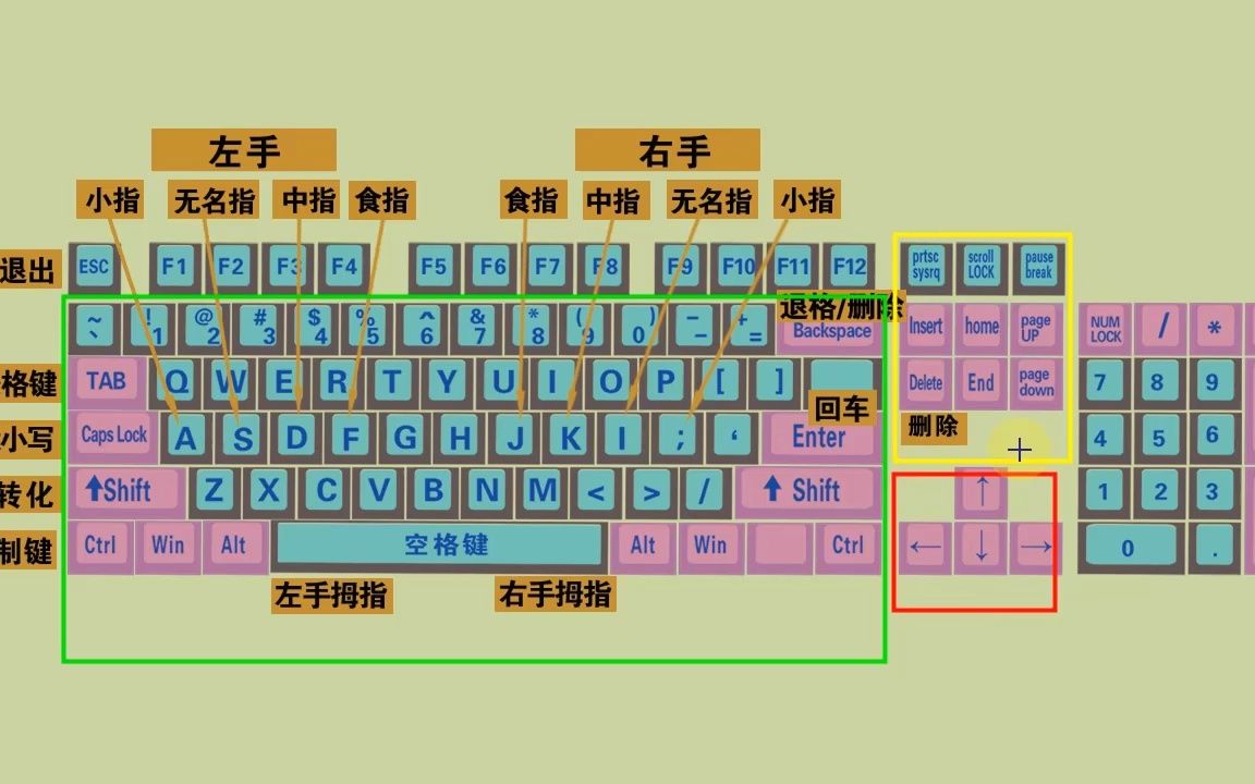 零基础学电脑打字入门教程，老师一步一步教会你