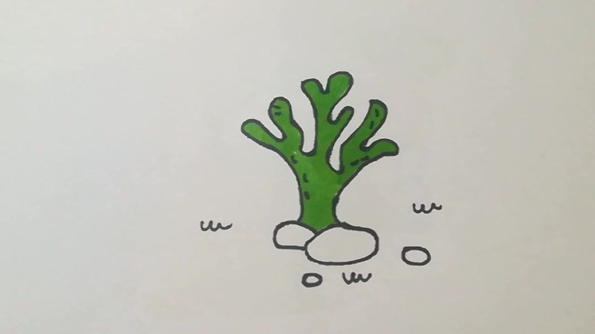 苗苗姐姐绘画启蒙 珊瑚卡通简笔画