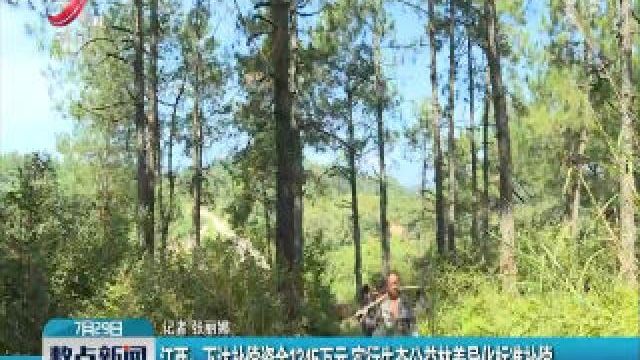 江西:下达补偿资金1345万元 实行生态公益林差异化标准补偿