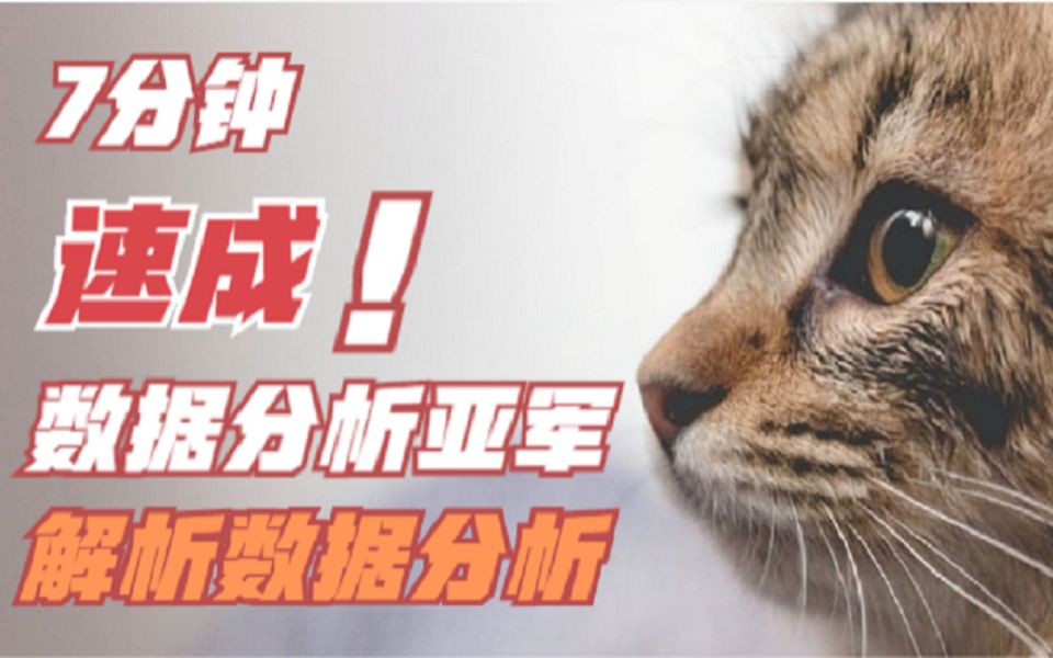 【干货】7分钟入门,【全国数据分析大赛亚军】带你揭秘数据分析!