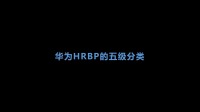 华为HRBP的工作方法与优秀实践 第7集 华为HRBP的五级分类