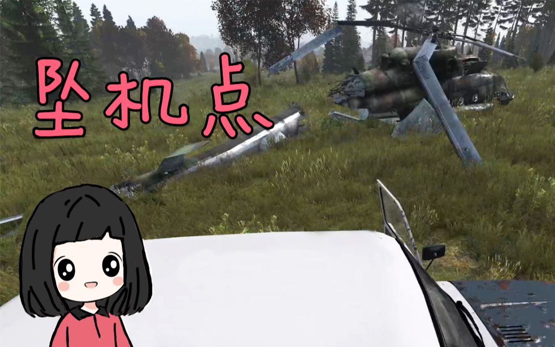 《Dayz》单机#27 出门遇到坠机点!但是很过分