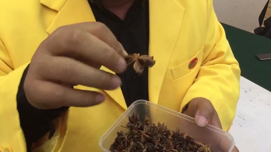 刘泉教你鉴别含硫八角,小八角大学问,为什么你的料包不出香