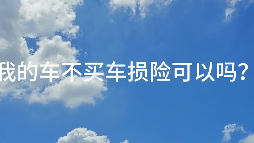 我的车不买车损险可以吗?