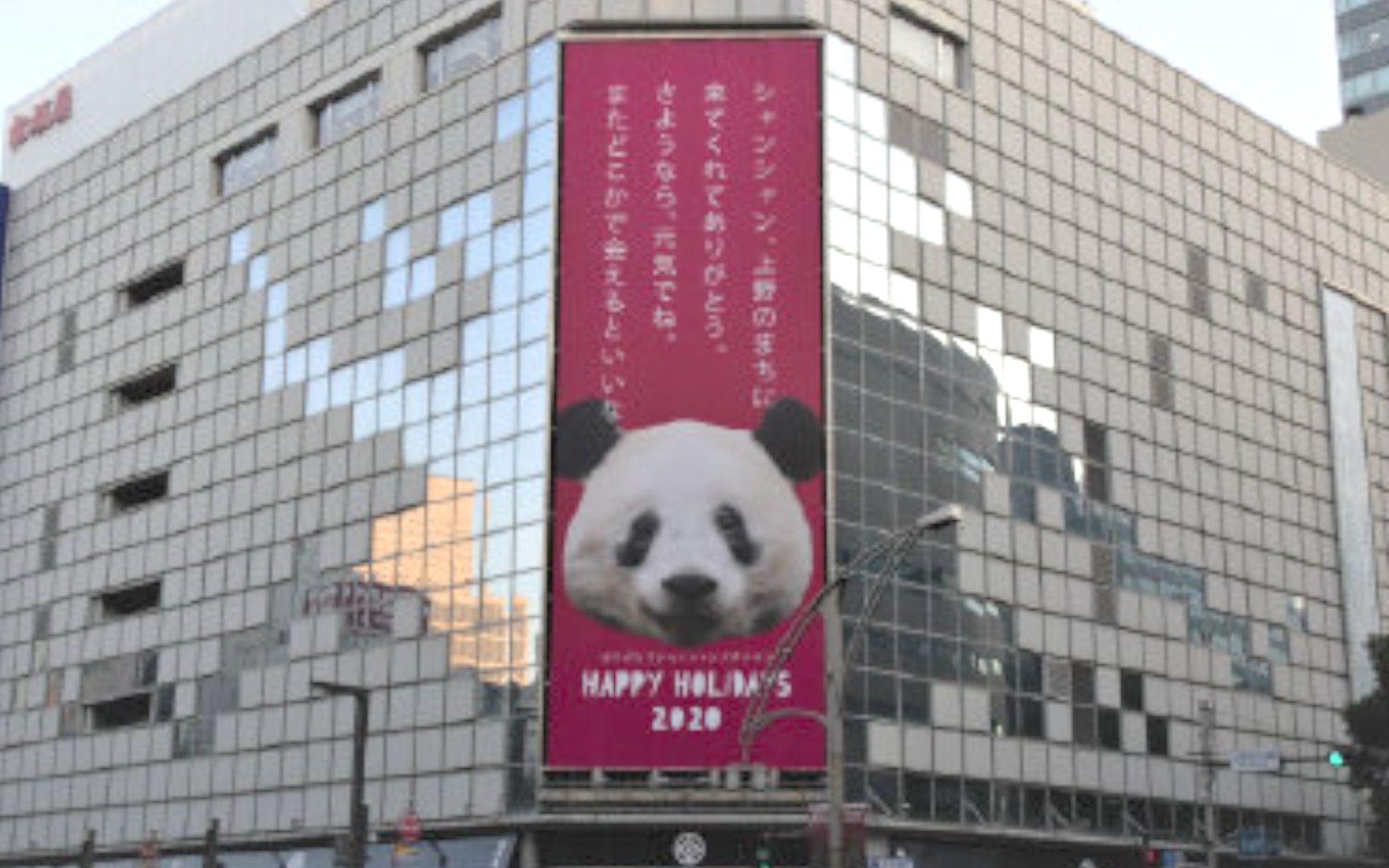 “香香”要回国 日本民众不舍:不要走!