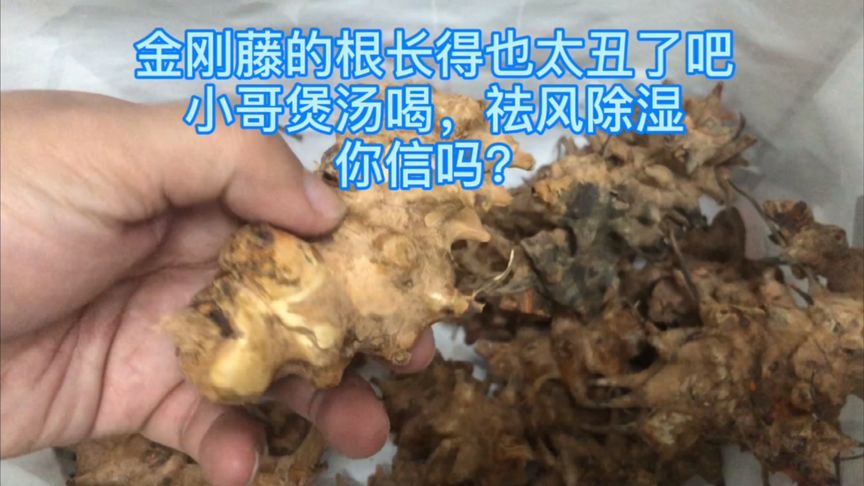 金刚藤的根长得也太丑了吧,小哥煲汤喝,祛风除湿,你信吗?