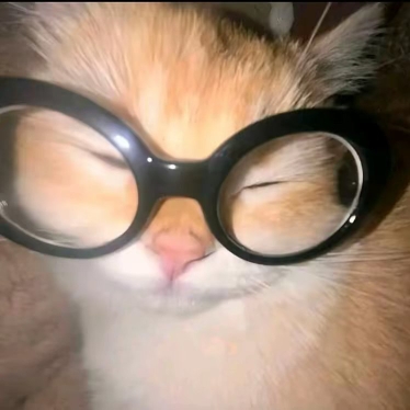 我的世界破烂王 