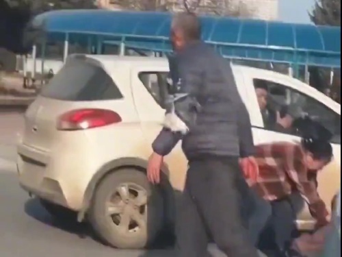 佳木斯老人被狗咬后续,真相曝光!