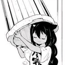 卷不动了的鹰隼桑 