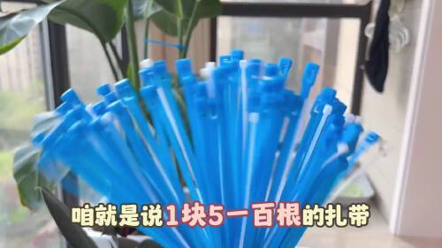 咱就是说家里这么多扎带不知道怎么用的!跟我学起来