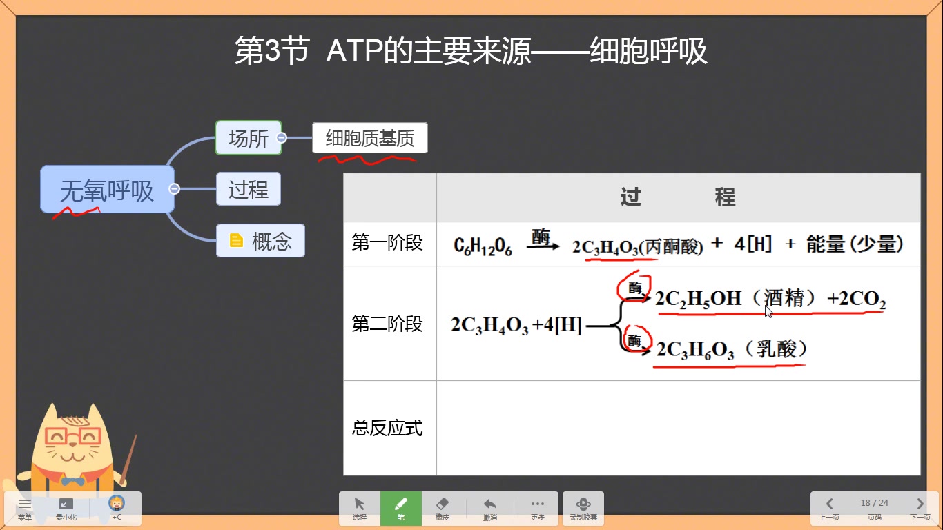 细胞呼吸知识点三