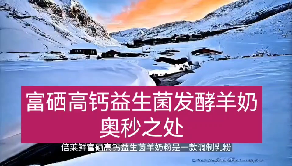 倍莱鲜富硒高钙益生菌羊乳粉