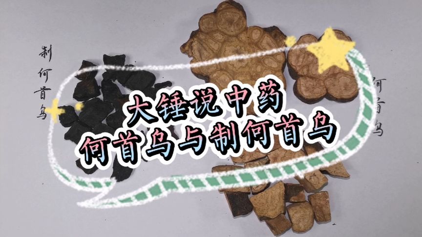 大锤说中药-何首乌与制何首乌