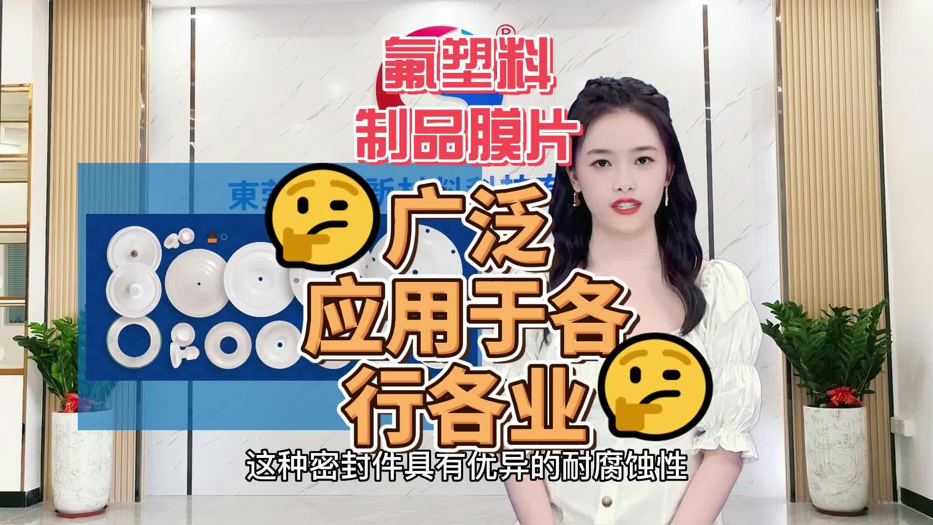 广泛应用于各行各业的氟塑料制品膜片密封件-祁晟新材