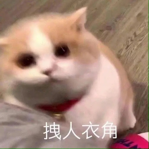 _定了个小目标 