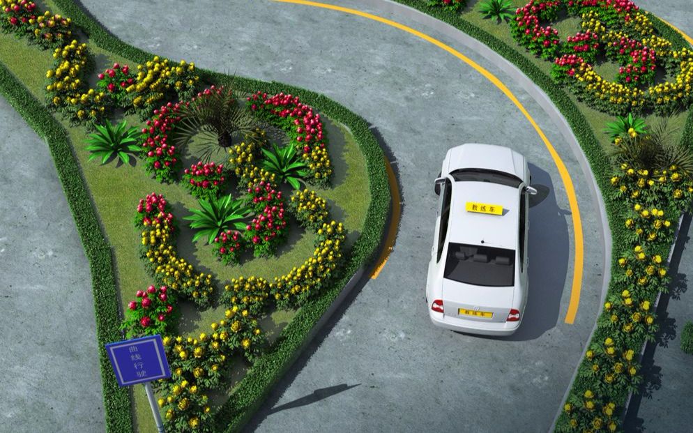 【实况】科目二考试全程演示视频