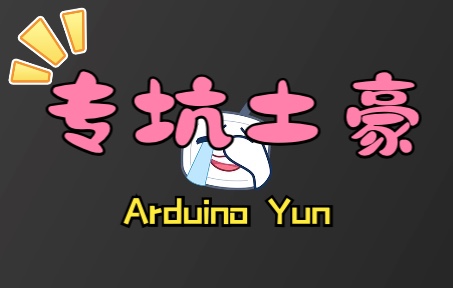选Arduino开发板入门应该避开的坑,围观贵到离谱的Yún