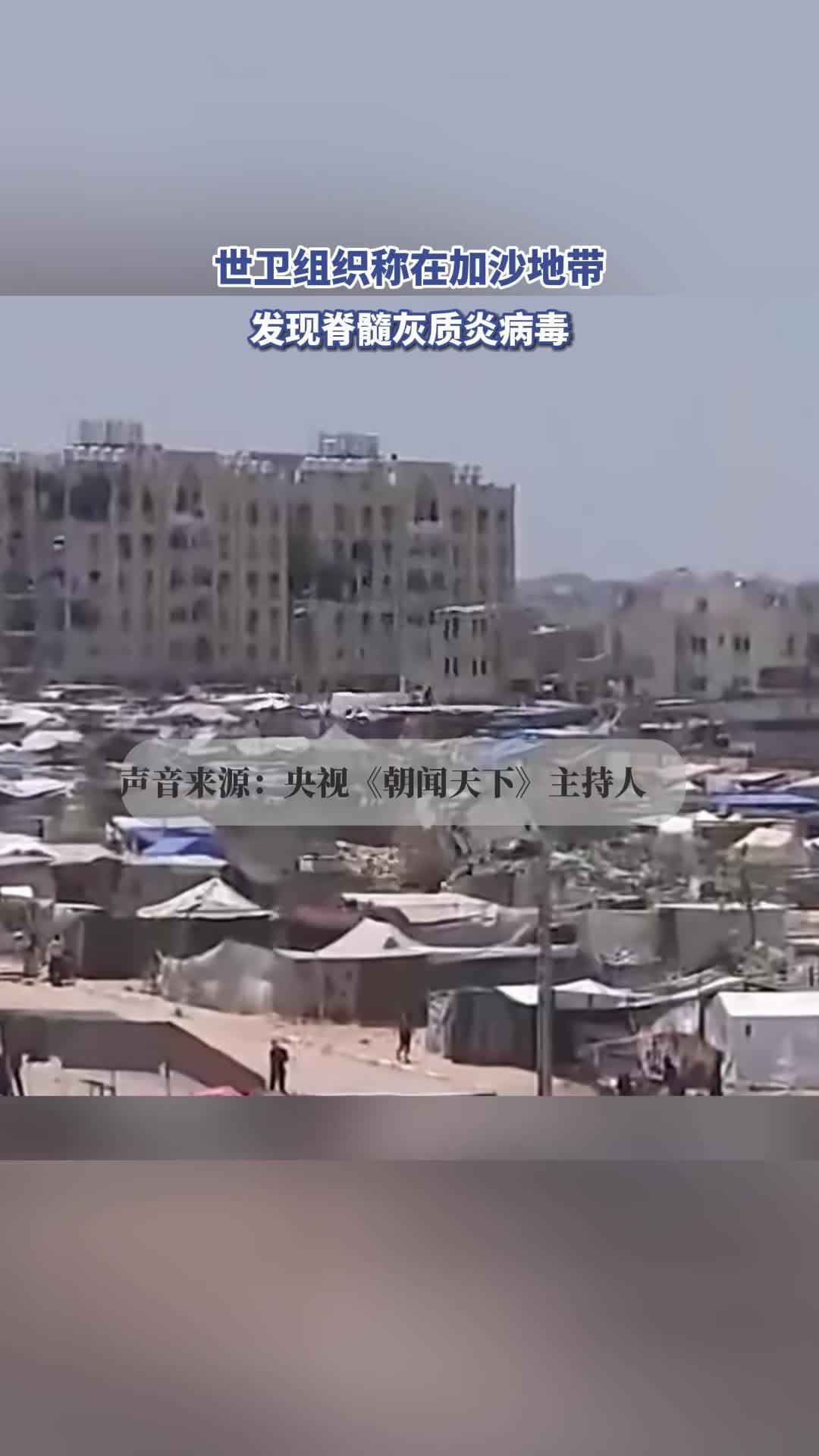 世卫组织称在加沙地带,发现脊髓灰质炎病毒