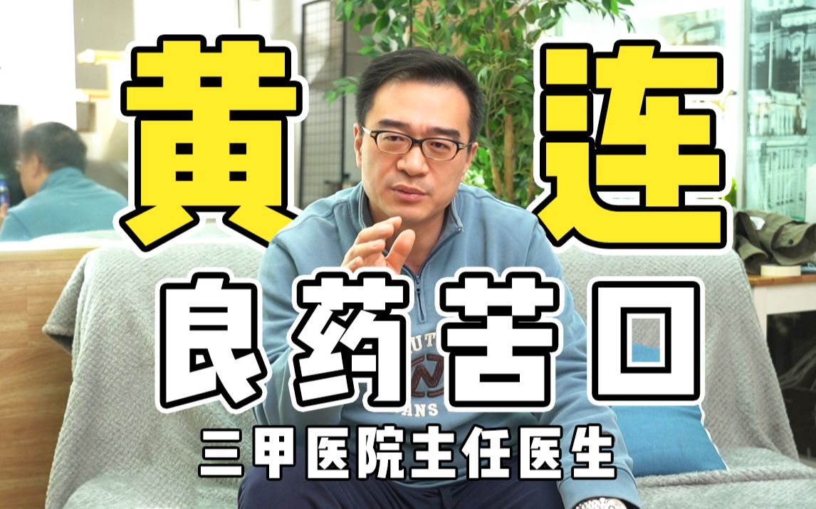 黄连 良药苦口