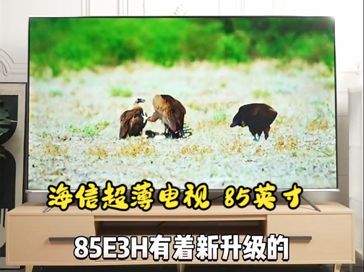 投屏办公更方便,海信85E3H,音质画质全面升级!