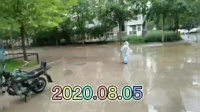 99和66