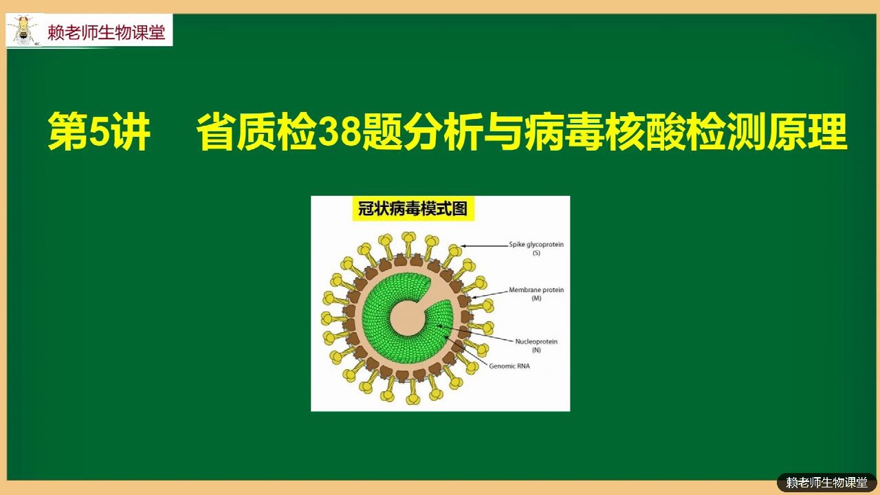 第5讲 福建省质检38题分析与病毒核酸检测原理