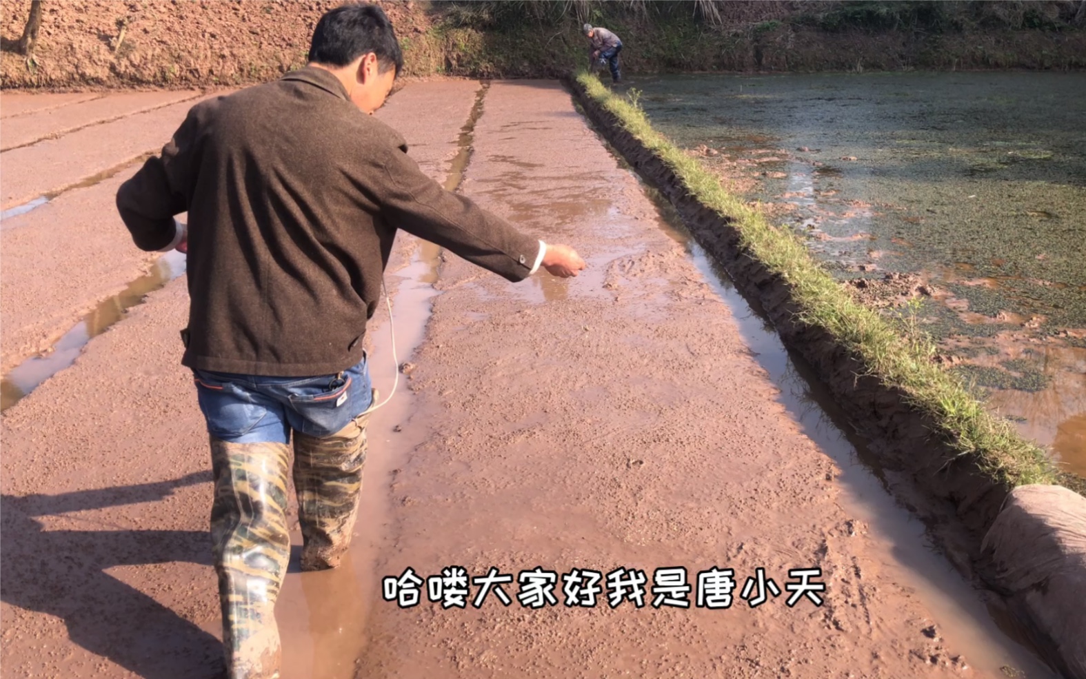 ...农忙时节,我家三叔在学习如何播种水稻,四川版“华农”带你观看过程