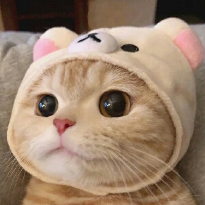 头号人类 