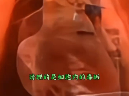 沃伦勒夫量子环的原理