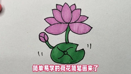 画荷花最简单的画法