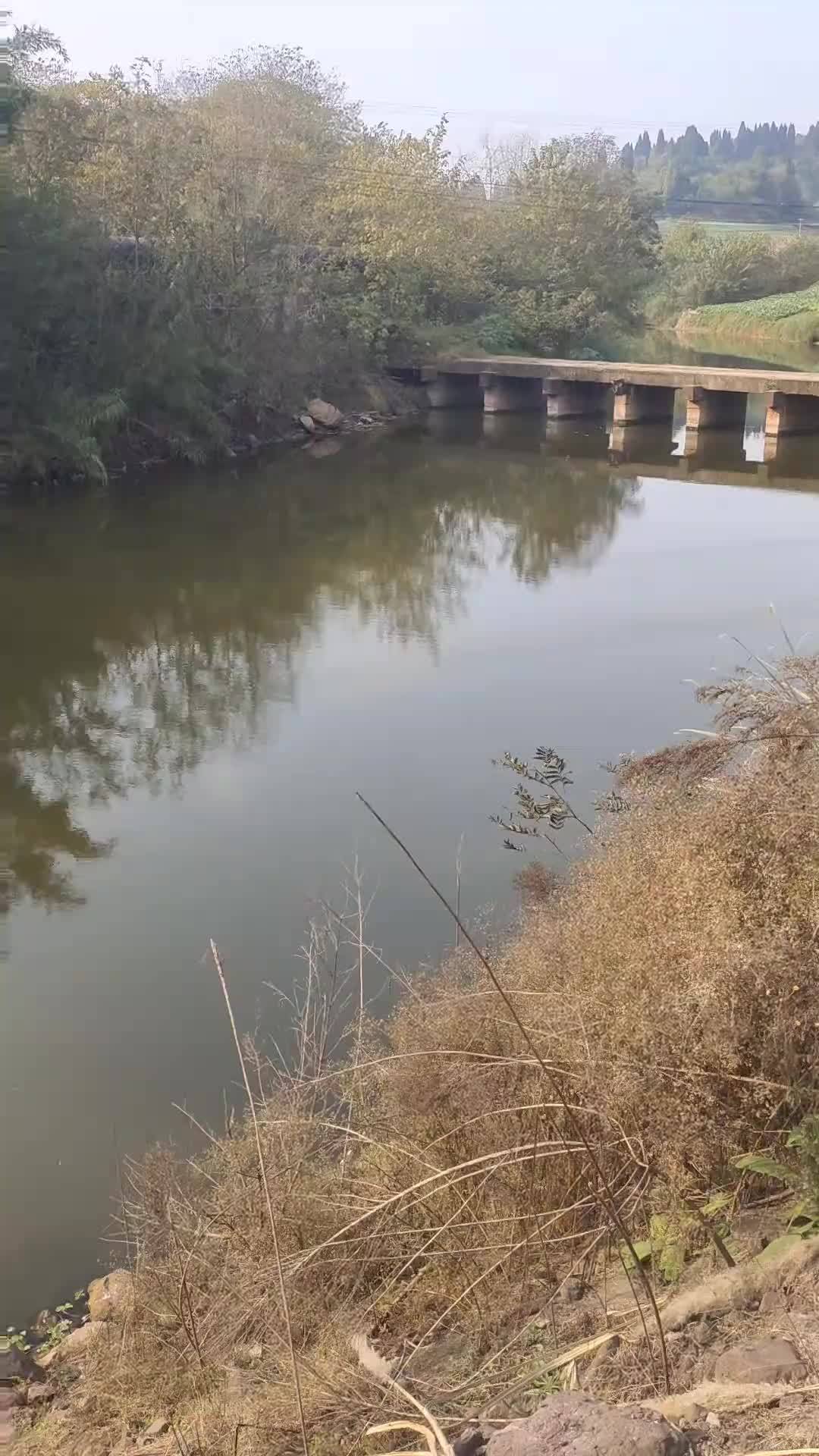 这个位置非常近哦水质也好