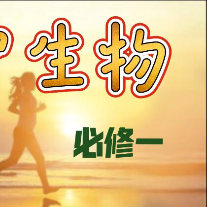 街道向晚 