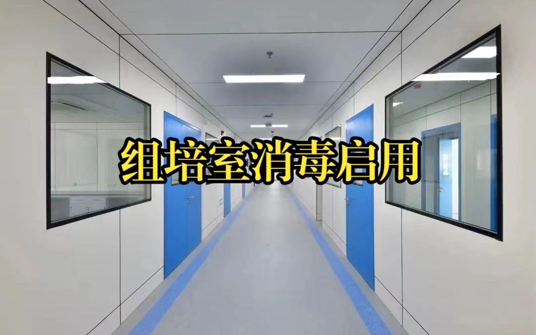 组培室灭菌消毒 组培室净化设计 组培仪器设备