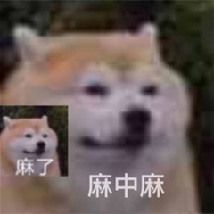 炒饭弟弟d 