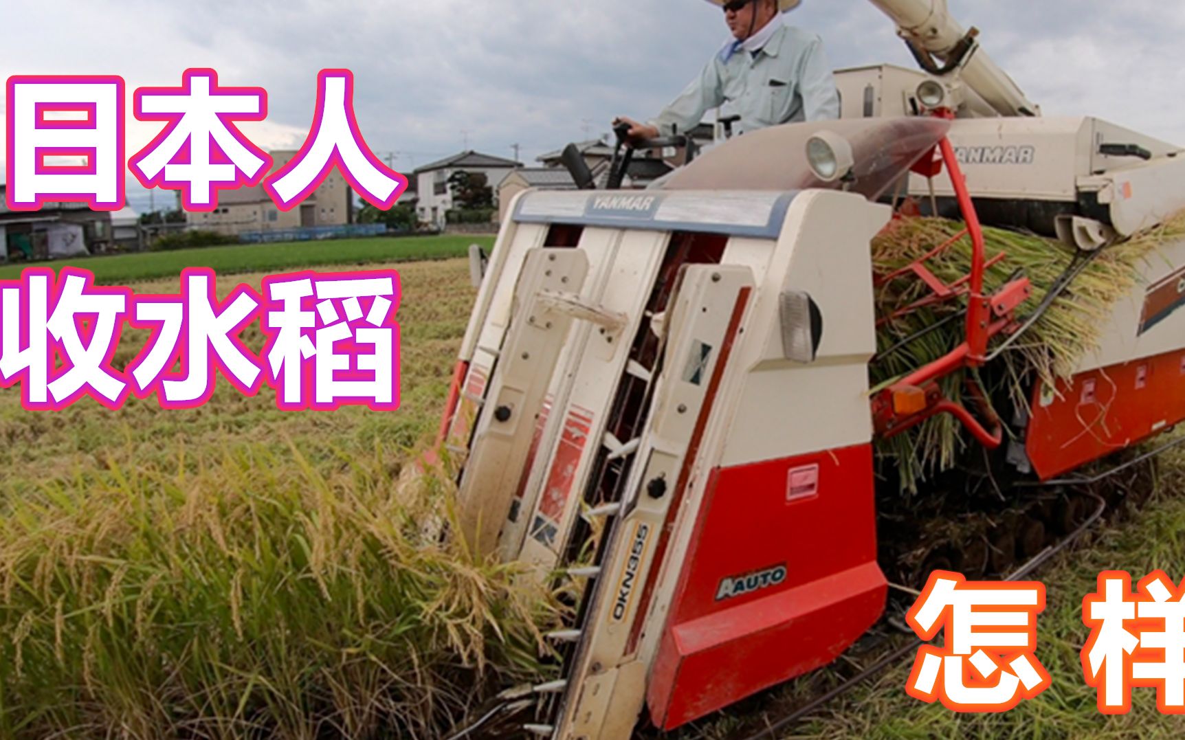实录日本人收割水稻的自动化全过程,几亩水稻一袋烟功夫就完事了