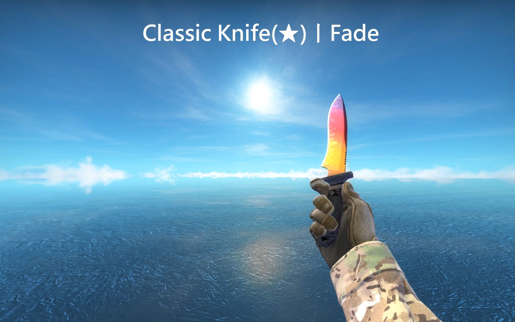 [CSGO]3分钟看完20周年武器箱海豹短刀和武器皮肤检视
