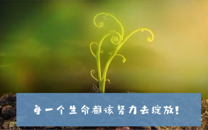 每一个生命都该努力去绽放--铁山垅中心小学生命教育#生命 #珍爱...