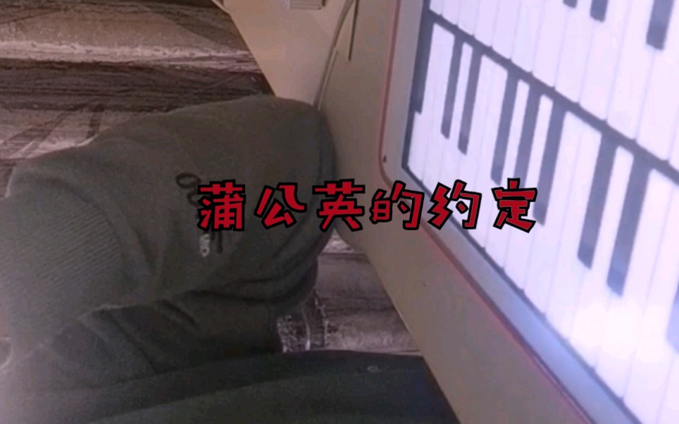 蒲公英的约定库乐队用起来感觉还可以,手指太粗了还是笔方便。