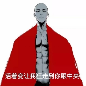 赵战风 