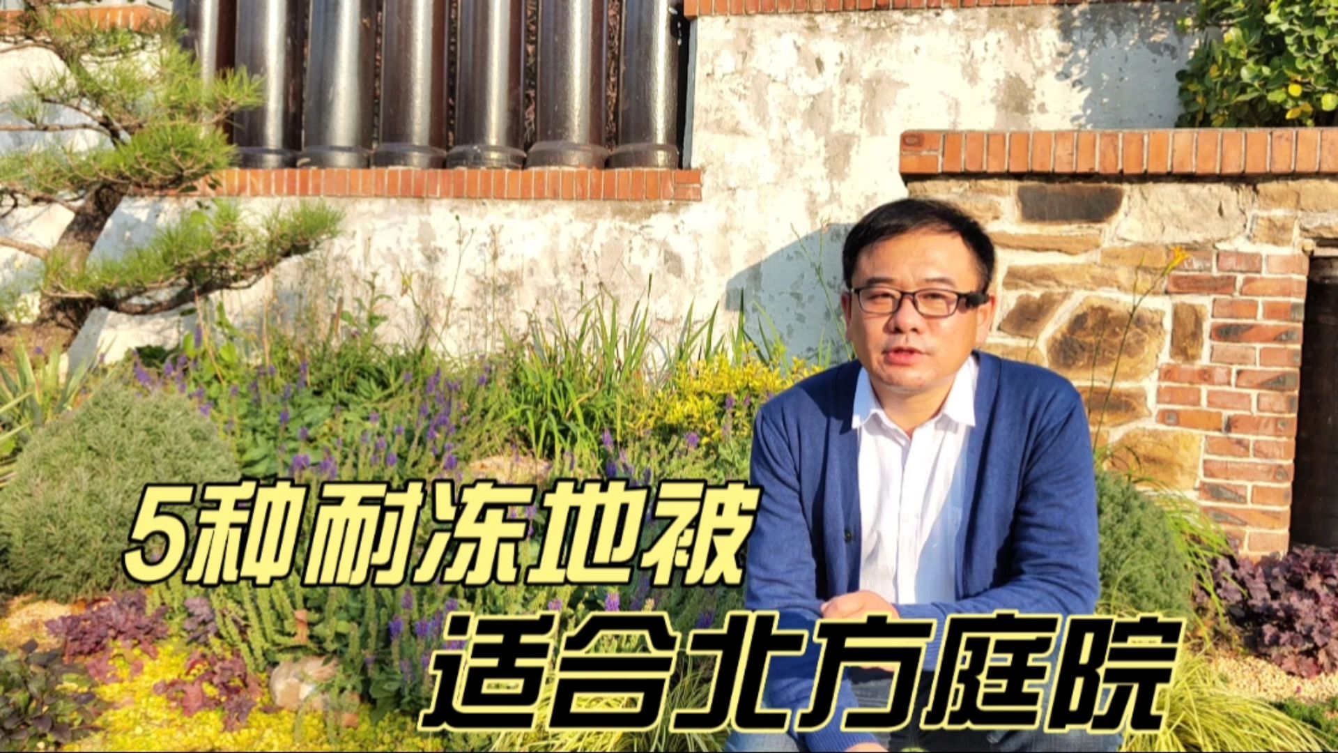 北方小花园,选这5种地被植物,皮实耐寒,冬天不单调