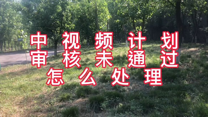 中视频伙伴计划审核未通过该怎么处理@中视频伙伴计划官号