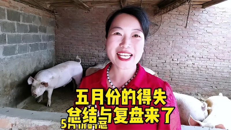 五月份的总结与复盘,不管得失六月继续加油!你的收获怎么样啊