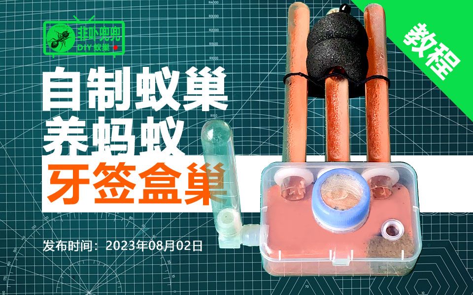 【新手养蚁】自制蚁巢养蚂蚁:牙签盒简易蚁巢制作教程--养蚂蚁神器(2)