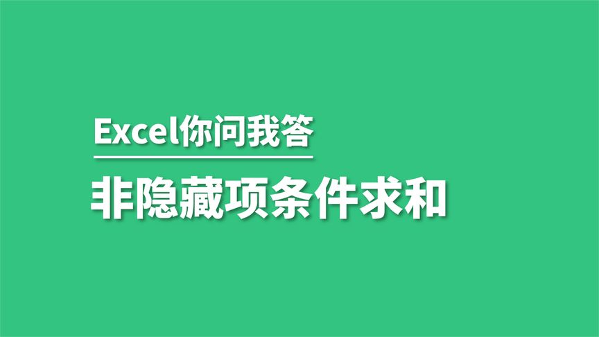 Excel如何进行非隐藏项条件求和